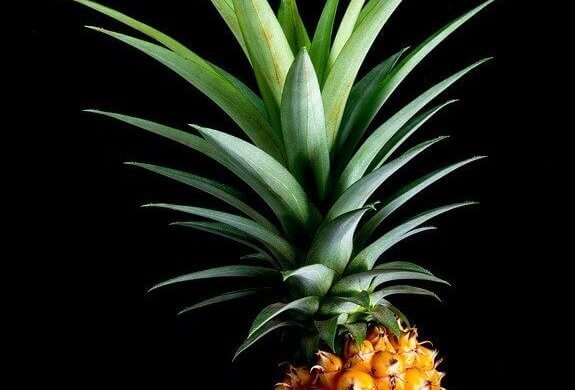 Qu'est-ce que le lessivage du sol ? - Blog du Comptoir de Toamasina