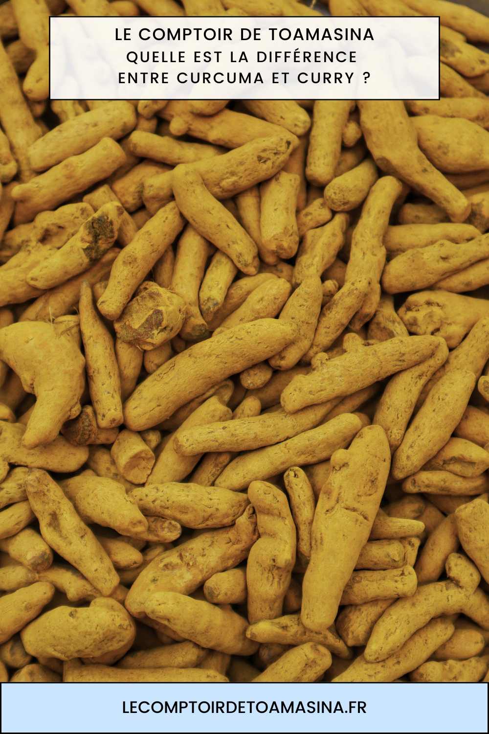 Quelle est la différence entre curcuma et curry ? - Le Monde des épices
