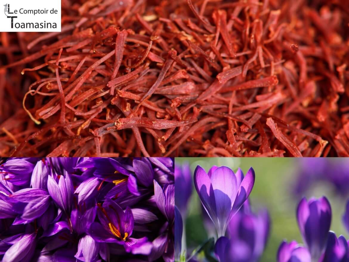 Le prix du safran au kilo : pourquoi cette épice coûte-t-elle si cher
