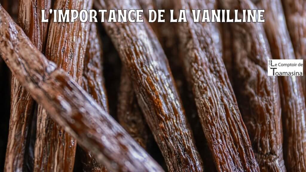 l'importance de la vanilline dans la gousse de vanille - Arnaud Vanille