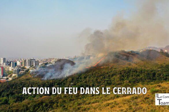 Qu'est-ce que le lessivage du sol ? - Le Comptoir de Toamasina