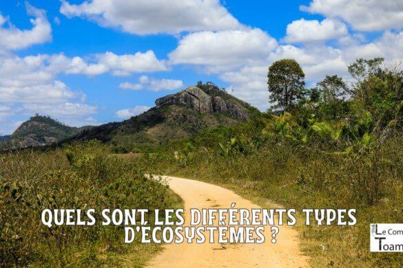 Qu'est-ce que le lessivage du sol ? - Le Comptoir de Toamasina