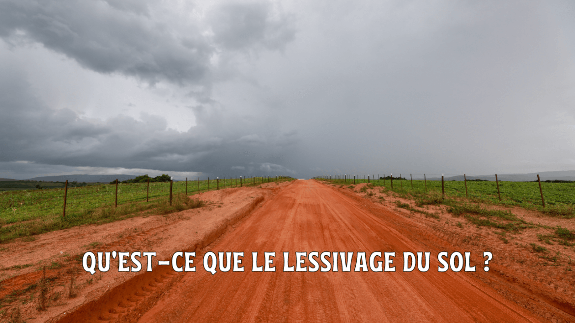 Qu'est-ce que le lessivage du sol ? - Le Comptoir de Toamasina
