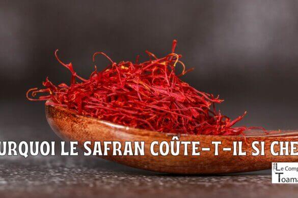 La production de safran dans le monde - Blog du Comptoir de Toamasina