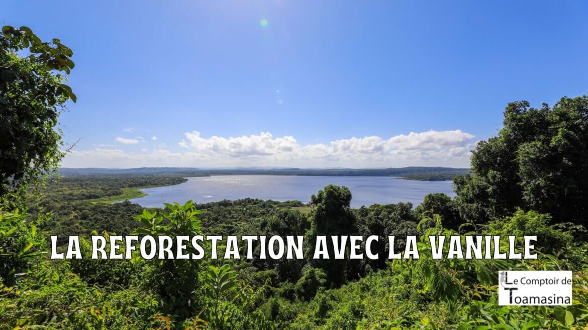 la reforestation avec la vanille - Le Comptoir de Toamasina