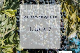 Qu'est-ce que le lessivage du sol ? - Blog du Comptoir de Toamasina
