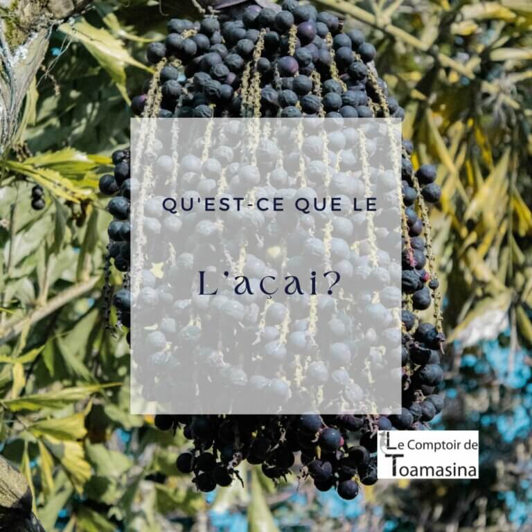 Qu'est-ce que la baie d'açai - Le Comptoir de Toamasina