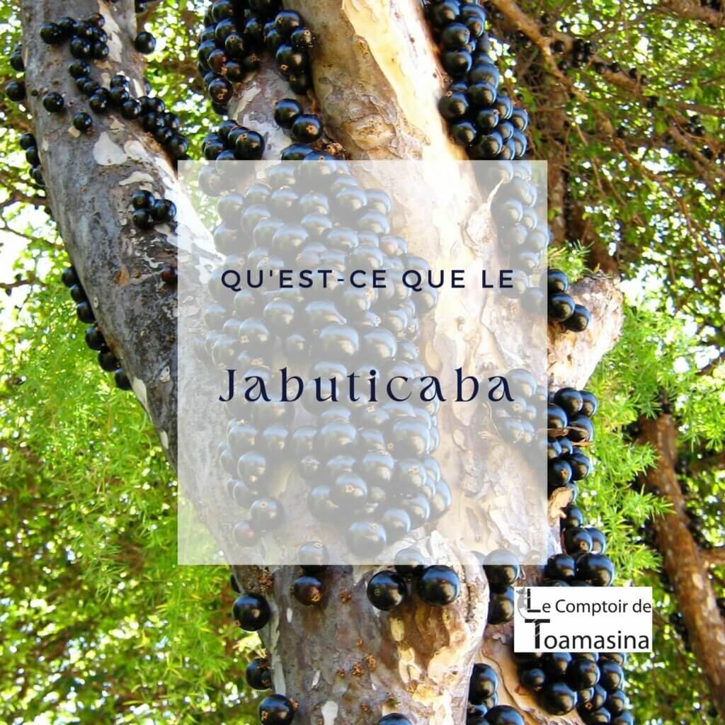 Qu'est-ce que le Jabuticaba - Le Comptoir de Toamasina