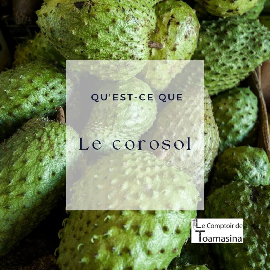 Qu'est-ce que le corossol ? - Le Comptoir de Toamasina
