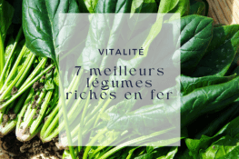 Découvrez la recette de tisane de Thym et ses bienfaits