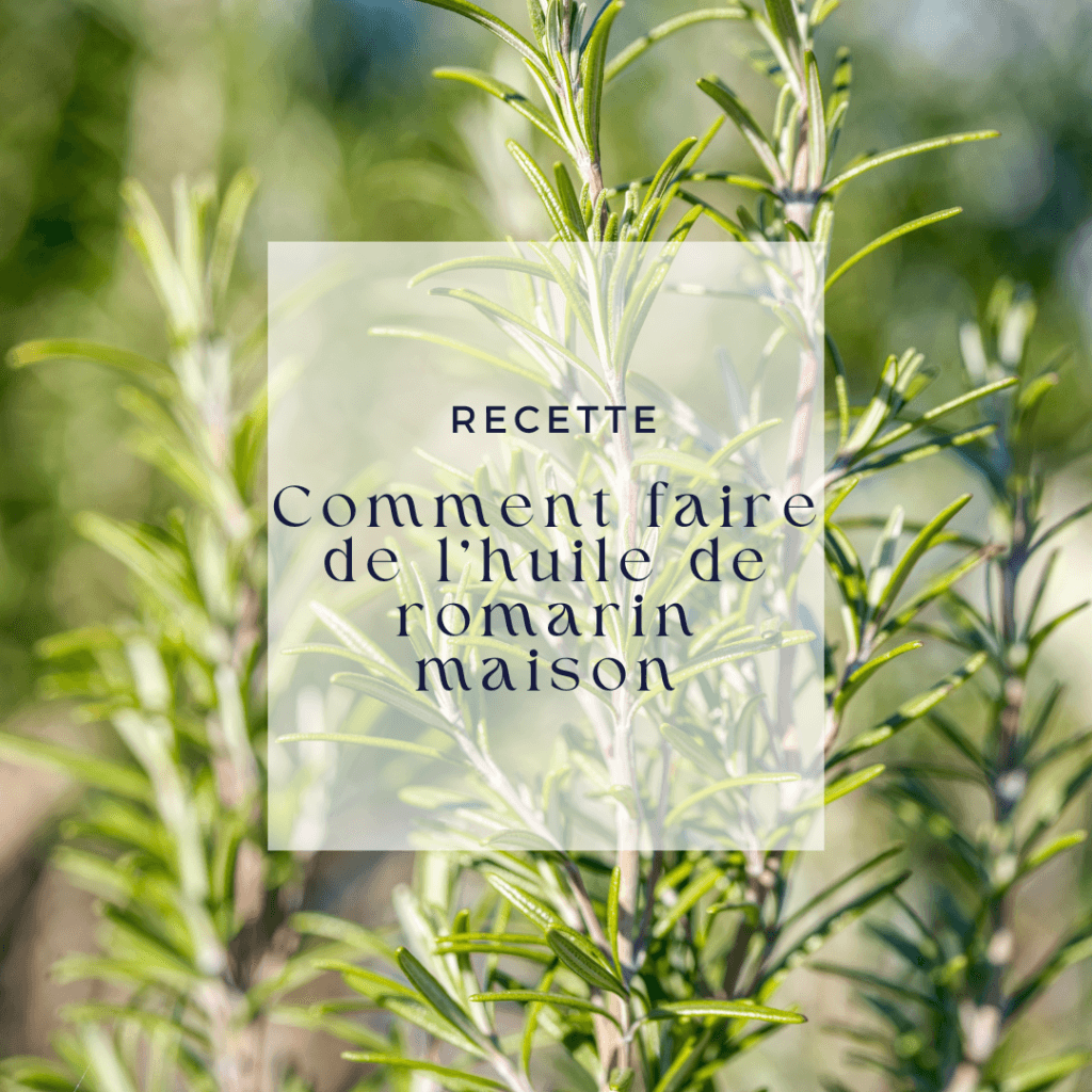 Comment faire de l’huile de romarin maison en 2025 - Chef Arnaud