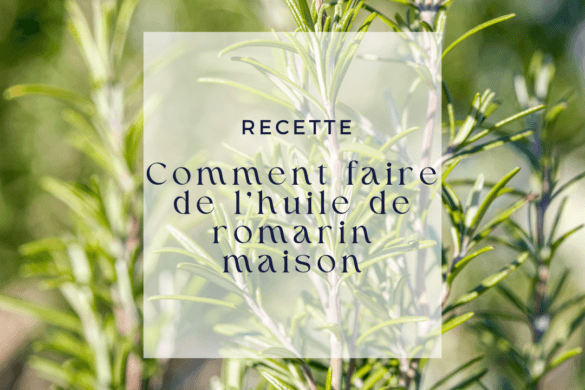 Qu'est-ce que le sucre Demerara - Blog du Comptoir de Toamasina