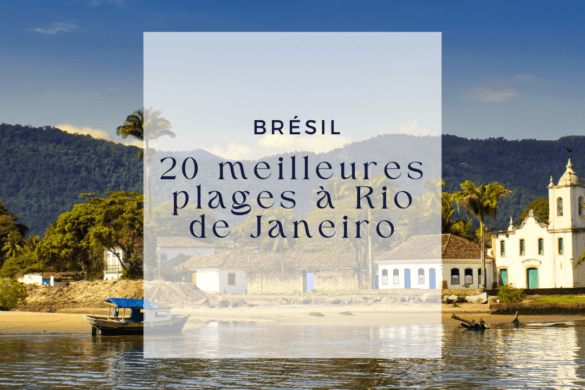 Qu'est-ce que le lessivage du sol ? - Le Comptoir de Toamasina