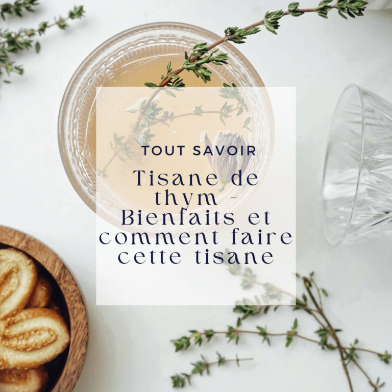 Découvrez la recette de tisane de Thym et ses bienfaits