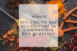 Découvrez la recette de tisane de Thym et ses bienfaits