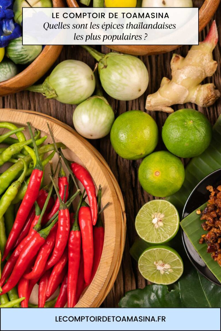 Quelles sont les épices thaïlandaises les plus populaires ? - Le Comptoir de Toamasina