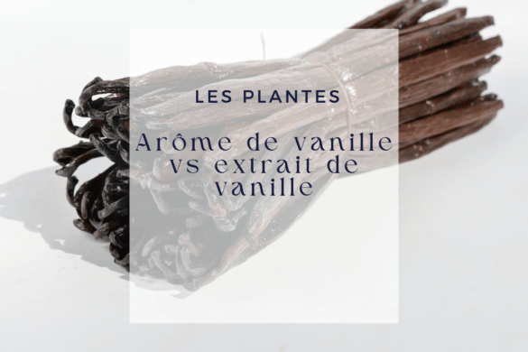 Quelles sont les différentes variétés de vanille ? - Blog du Comptoir ...