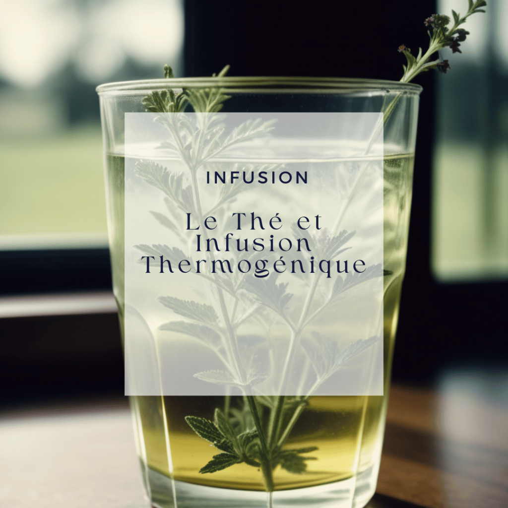 Le Thé et Infusion Thermogénique - Le Comptoir de Toamasina