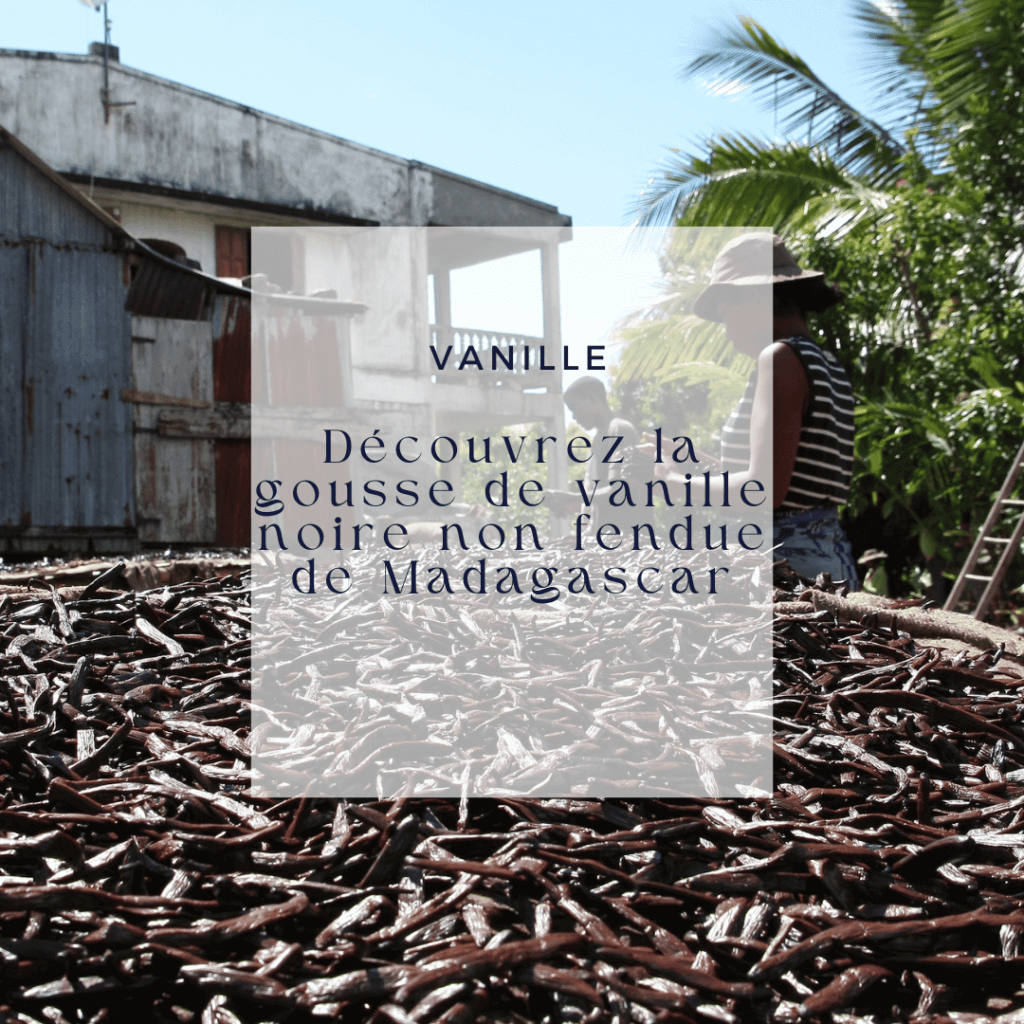 Découvrez la gousse de vanille noire non fendue de Madagascar - Le ...