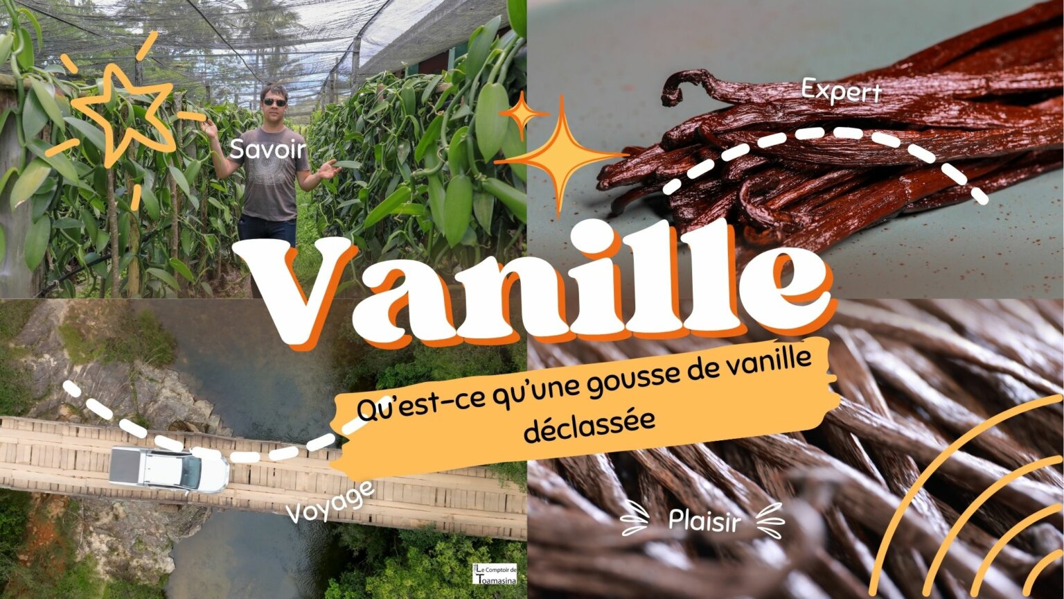 Qu'est-ce que la vanille déclassée ? - Le Comptoir de Toamasina