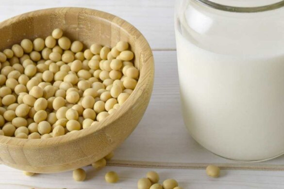 Découvrez la recette de tisane de Thym et ses bienfaits