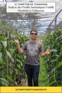 Tout savoir sur le bois de Santal - Le Comptoir de Toamasina